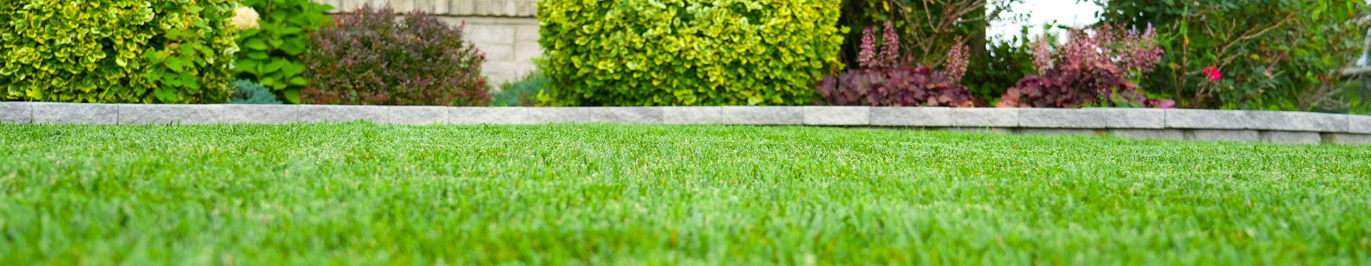 Application Seasons > Spring – The Andersons Lawn