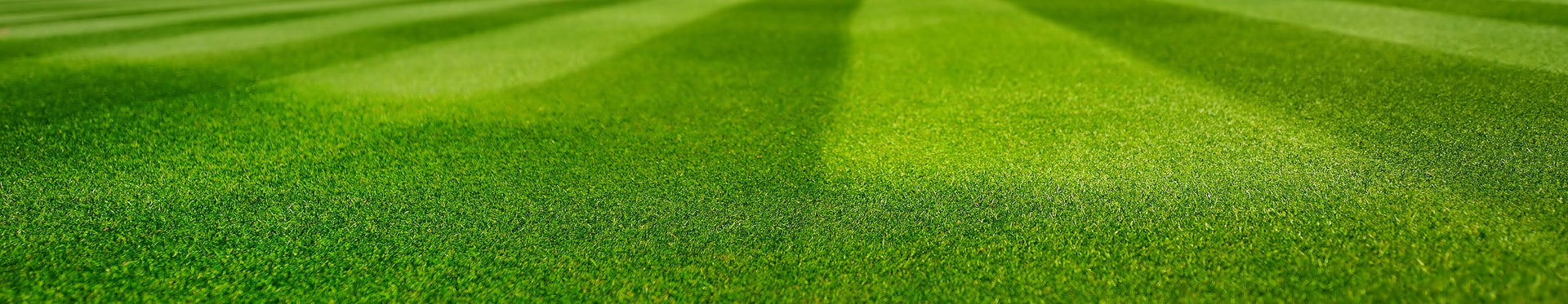 Lawn > Growth Regulator – The Andersons Lawn