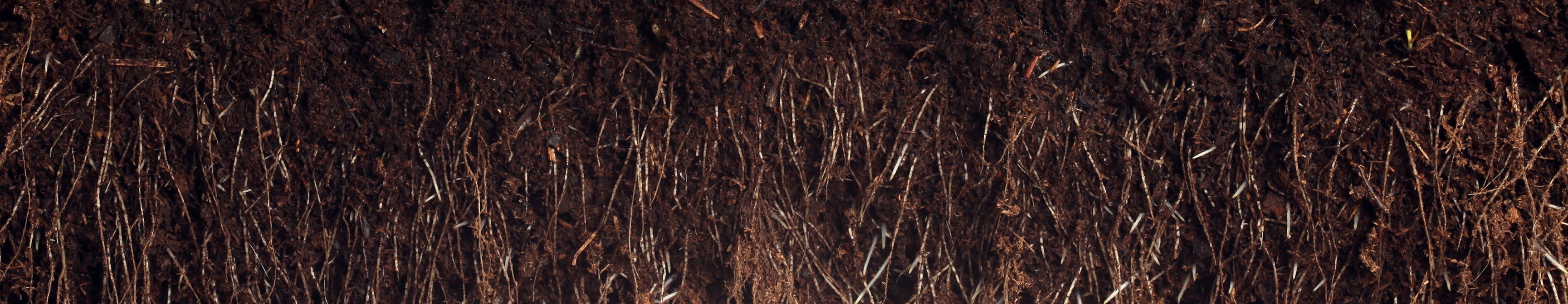 Lawn > Soil Amendments – The Andersons Lawn