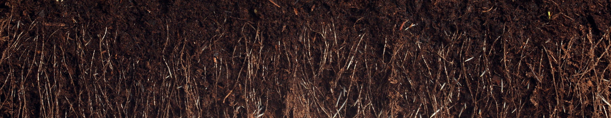 Lawn > Soil Amendments – The Andersons Lawn