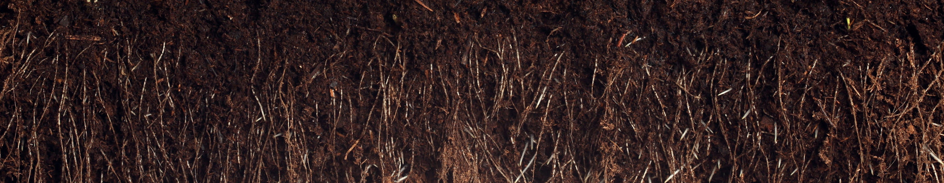 Lawn > Soil Amendments – The Andersons Lawn