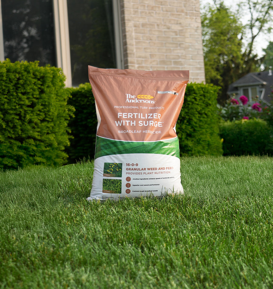 Surge® Weed & Feed 16-0-9 – Andersons Lawn